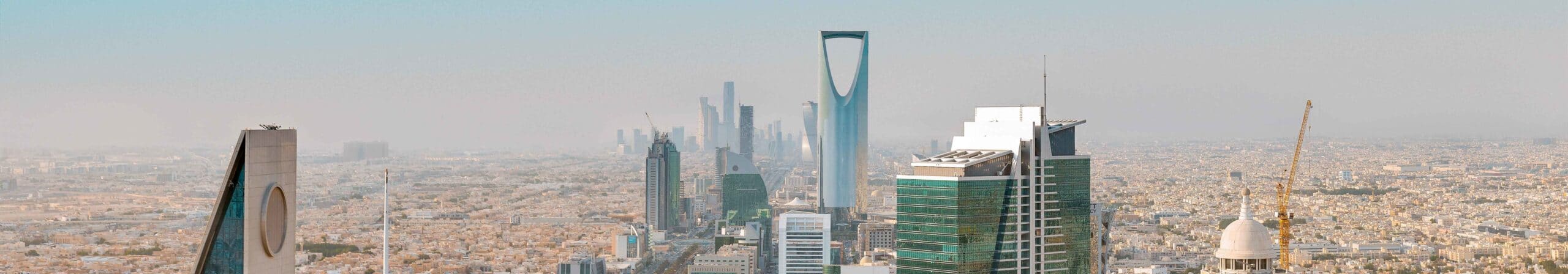 Overview of the pharmaceutical industry in Saudi Arabia - Carter Murray